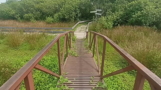 Управляемый заповедник Кобулети: Болота Испани (Грузия) 14.07.2025