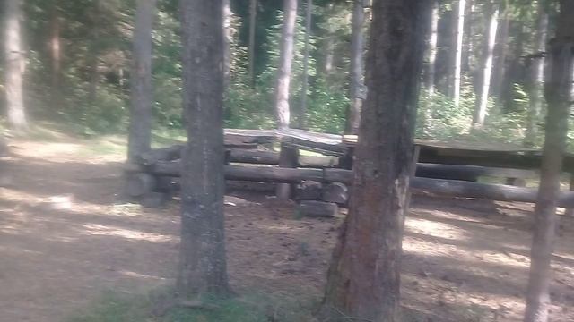 Наша лесная столовая. Лес Телеши вблизи Смоленска.