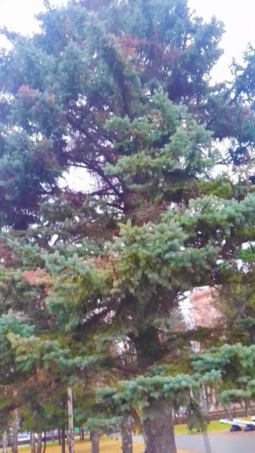 💖Мудрость сказок