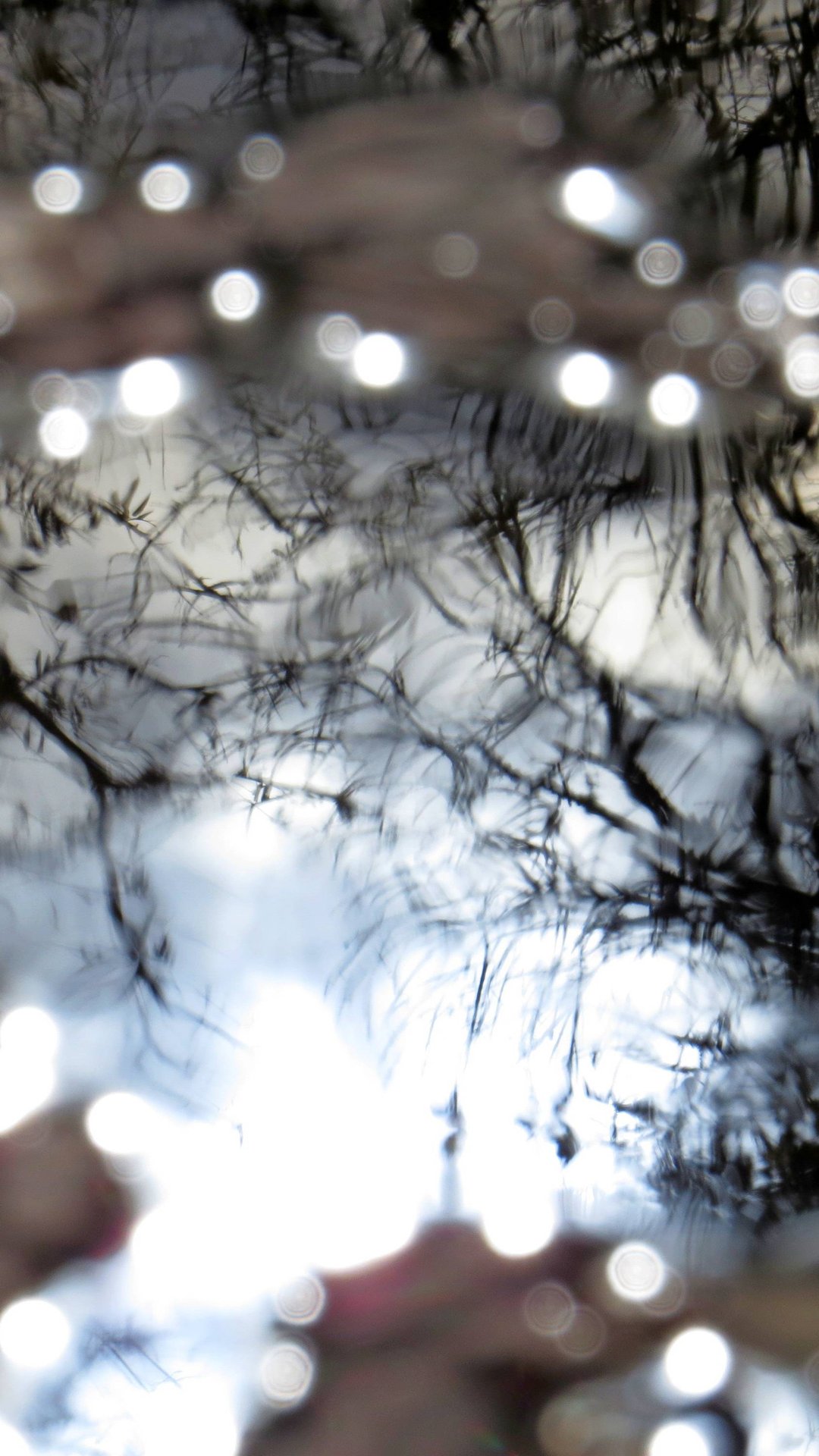 Лесной ручей.