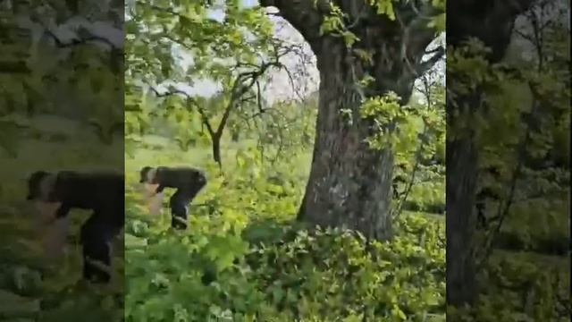 Первый субботник по подготовке к реализации проекта "Комфорт и благоустройство", 27 мая 2024 года