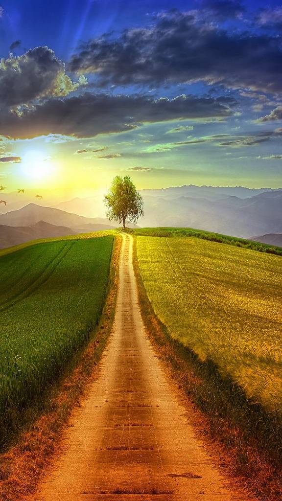 Совет Ангелов сфера работа_деньги... онлайн... 🙌✍️🍁🌳👍