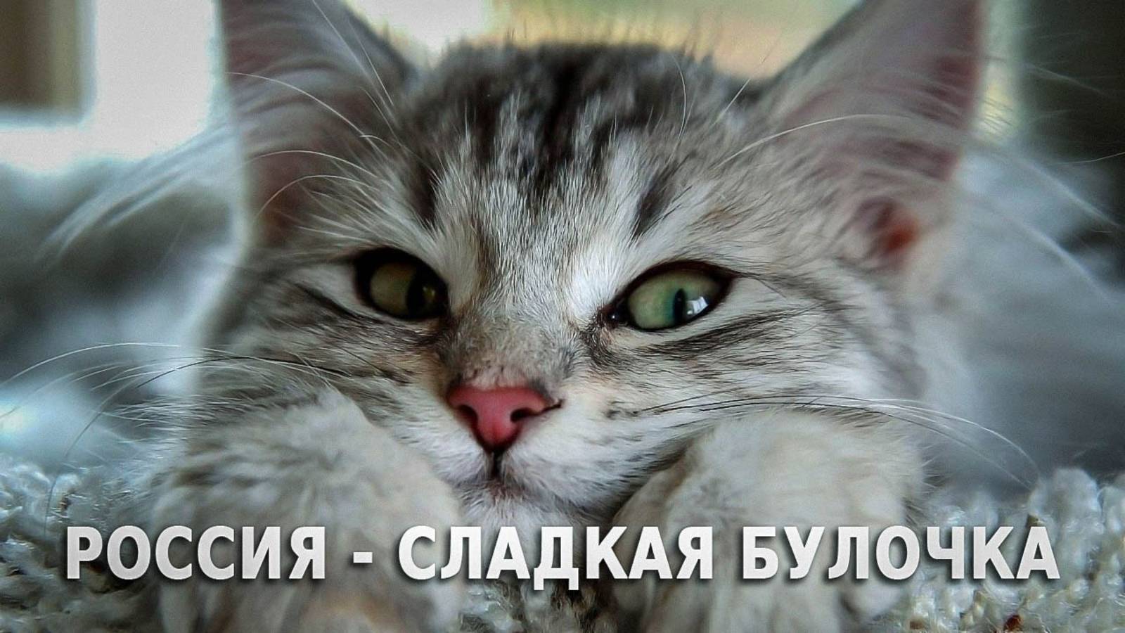 Крутая страна для крутых мужиков