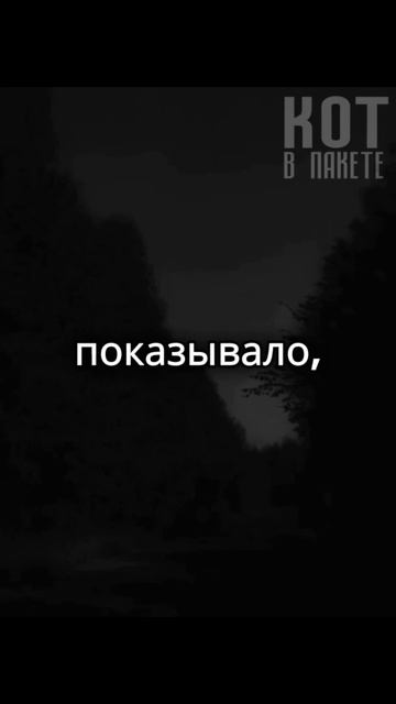 Приложение для поиска пропавших людей.. Страшные истории на ночь.Страшилки на ночь.