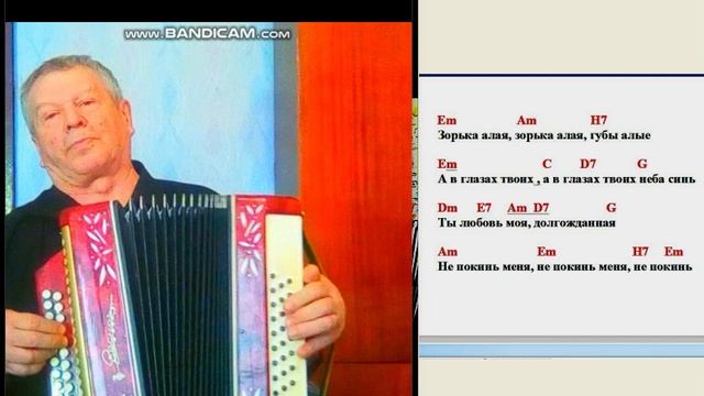 ЗОРЬКА АЛАЯ на моей гармони