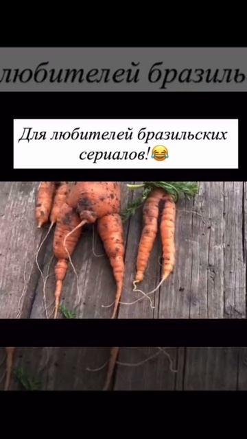 #смешныевидео