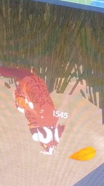 Первый мой эдит