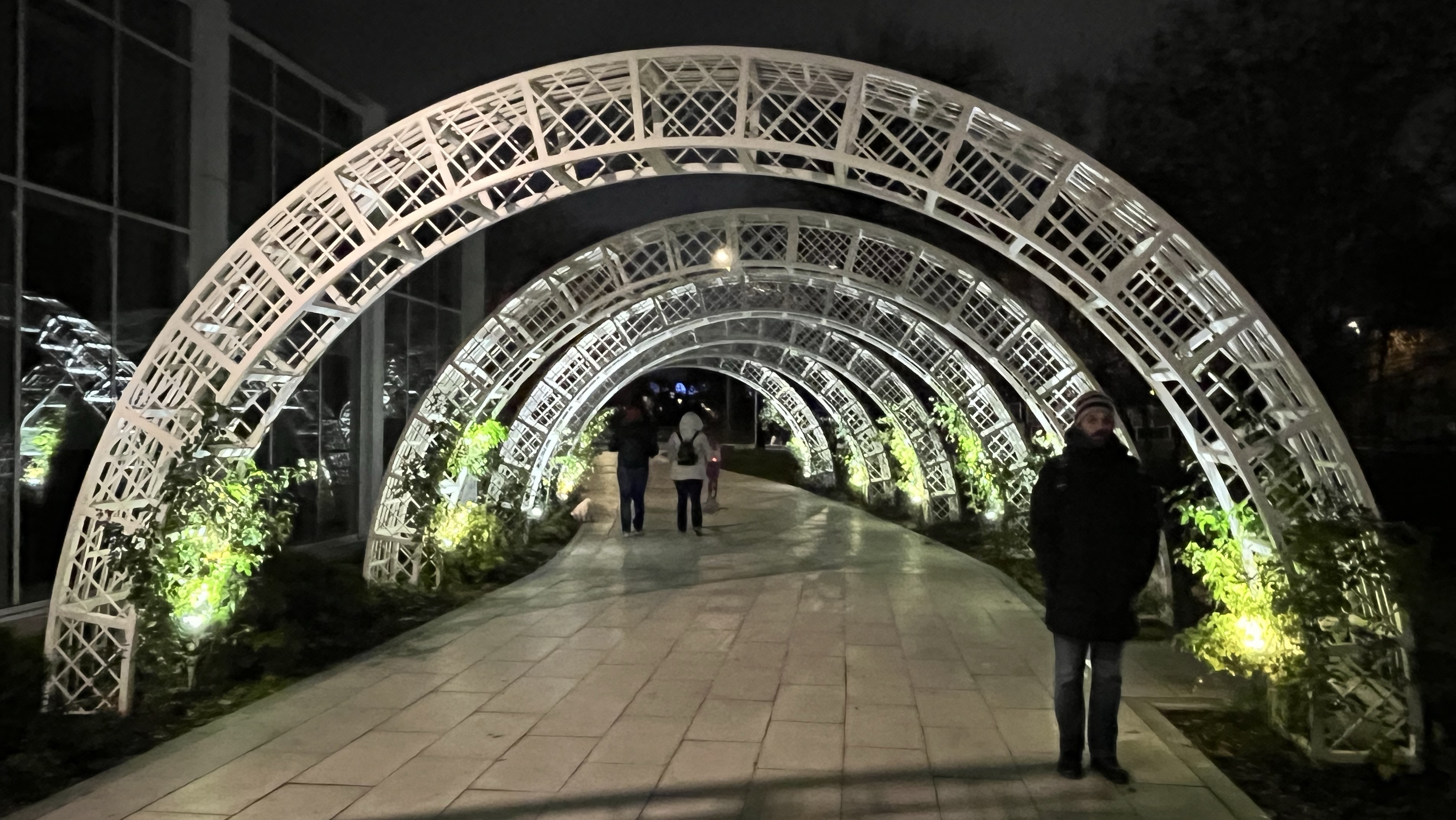 Арка_Коломенское_03-11-2025