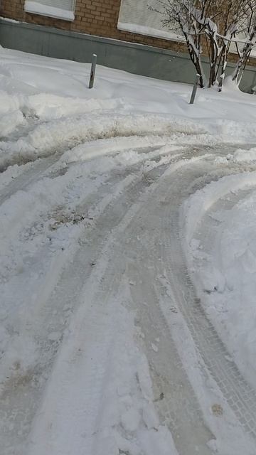 №335. Двор Сибирская 73. 29 апреля 2025 г., 8:54:58. VID_20250429_085253703