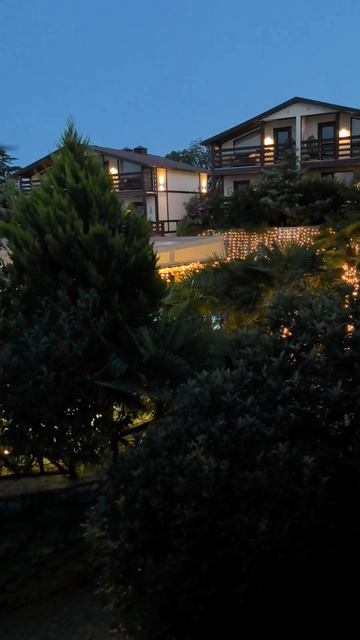 2025г. Скрипка на Даче