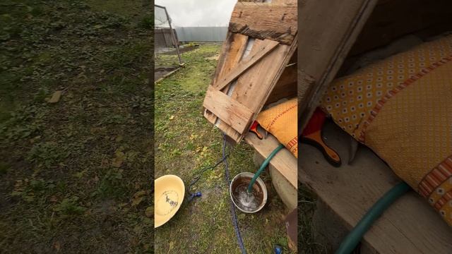 Жизнь в деревне