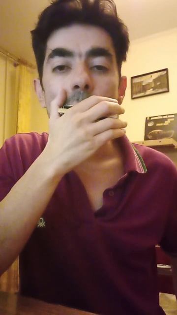 Бас, кызым, Эпипэ (татарская плясовая) на губной гармошке