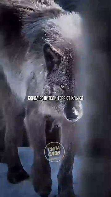 УРОК ДЛЯ ВСЕХ.