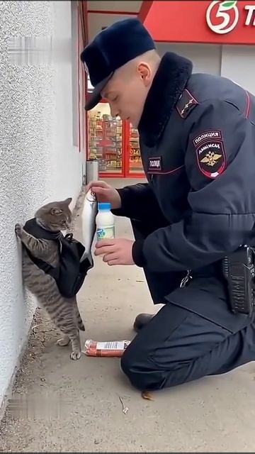 #смешныевидео