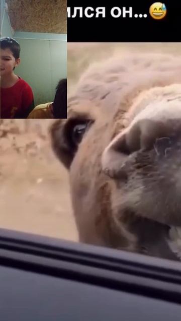 Незасмейся челлендж