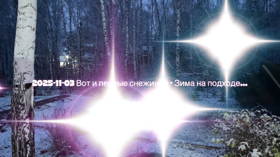2025-11-03 Вот и первые снежинки - Зима на подходе...