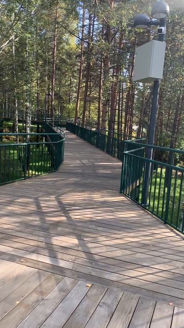 Гуляю по новой тропинке🫶