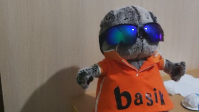 Басик сидит и смотрит
