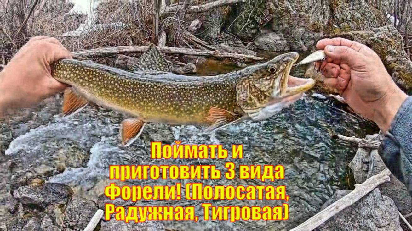Поймать и приготовить 3 вида Форели! (Полосатая, Радужная, Тигровая)