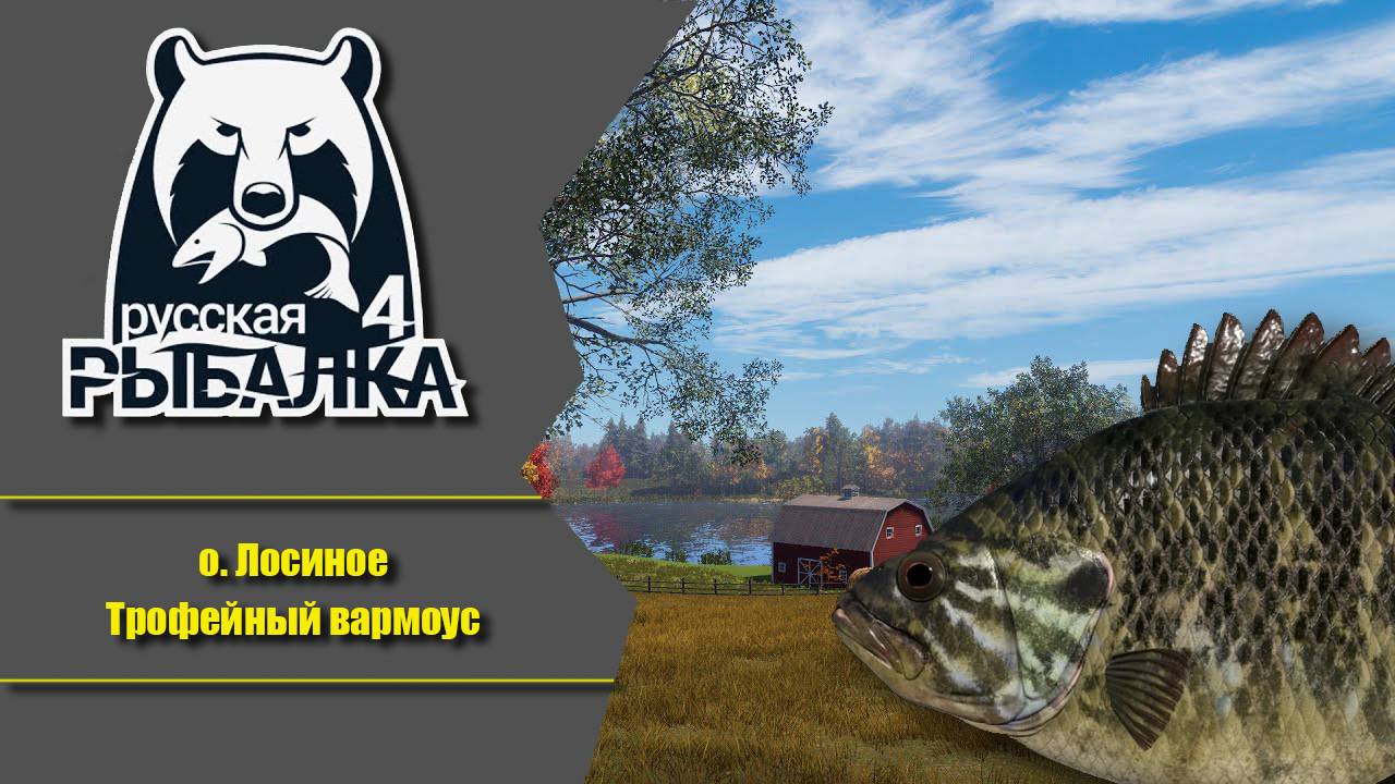Как поймать трофейного ВАРМОУСА на Лосином | Русская Рыбалка 4