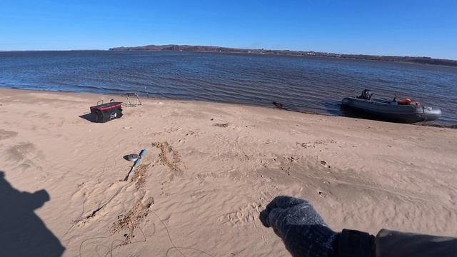 Осенние сиги на резинку 3.11.2025