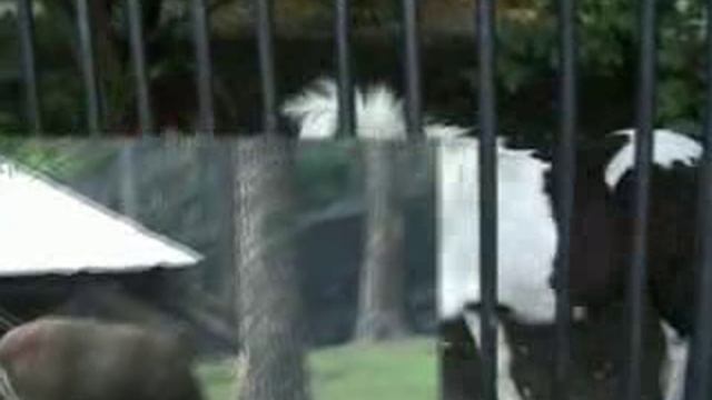 Новосибирский зоопарк