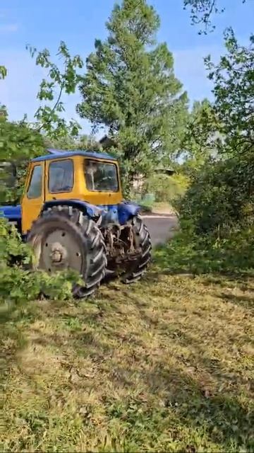 Субботник 27.05.2024: благодарность Диме Анисимову