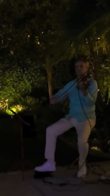 2025г. Скрипка