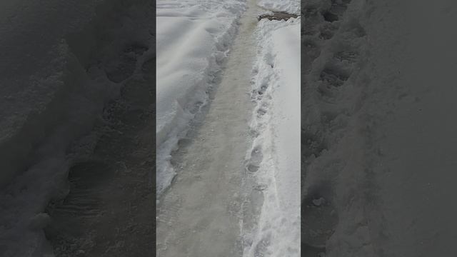 №336. ул. Сибирская. 29 апреля 2025 г., 8:58:39. VID_20250429_085501370