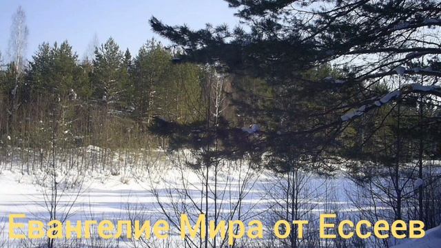 Евангелие Мира от Ессеев