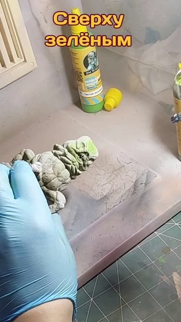 Крипер из майнкрафта в реальной жизни  #minecraft #майнкрафт