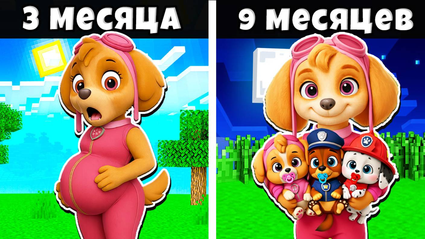 😳 МАЙНКРАФТ, НО СКАЙ ЩЕНЯЧИЙ ПАТРУЛЬ БЕРЕМЕННА В МАЙНКРАФТ!