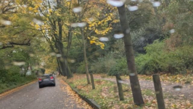 В Германии тоже осень — сделано в Clipchamp