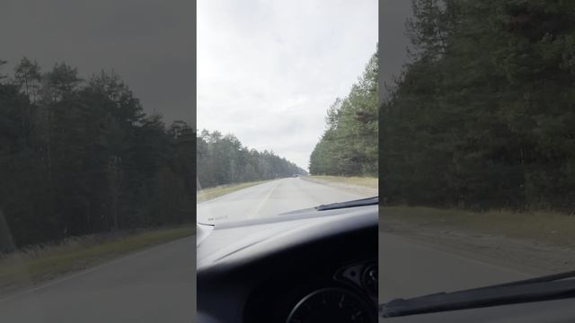 Проверила хозяйство, съездили в город по делам, навела порядок во дворе