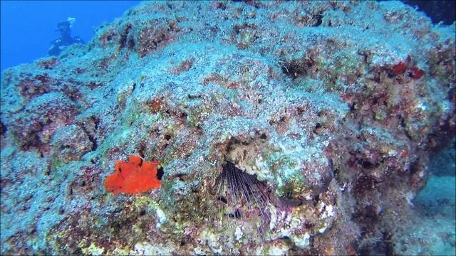 Погружение в "Воздушную пещеру". Текирова, Три острова.
