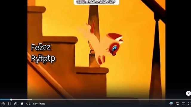 Котёнок про имя Гав Rotp