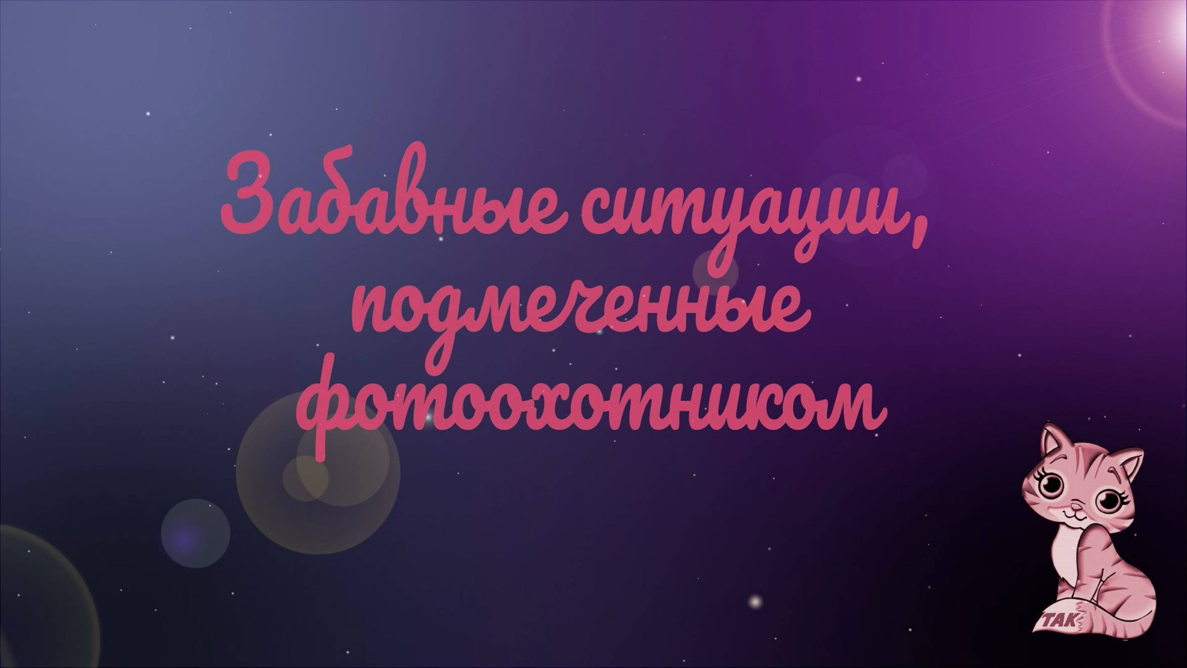 Животные и забавные ситуации