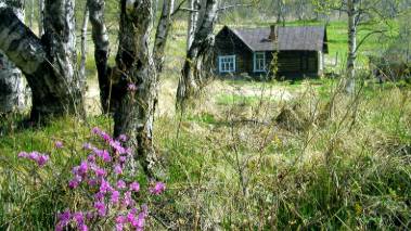 Ты не печалься, ты не прощайся