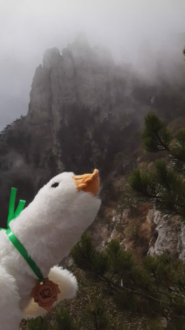 Ай-Петри в тумане и Гусь