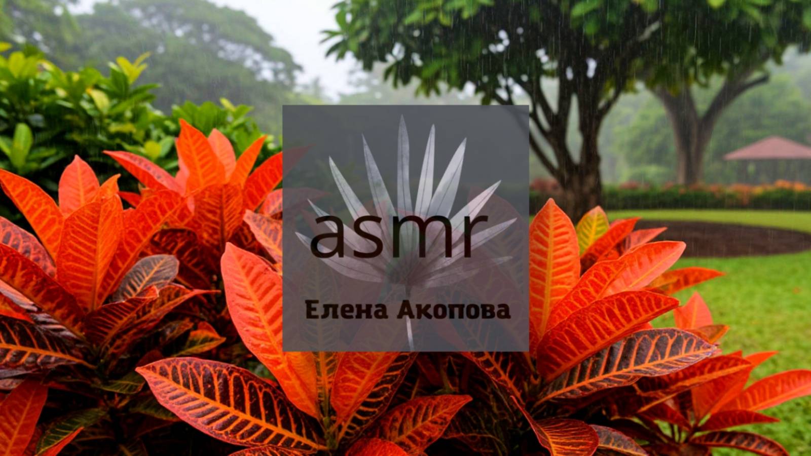 Прогулка по тропическому парку под дождем. Релакс с персонажем от ИИ