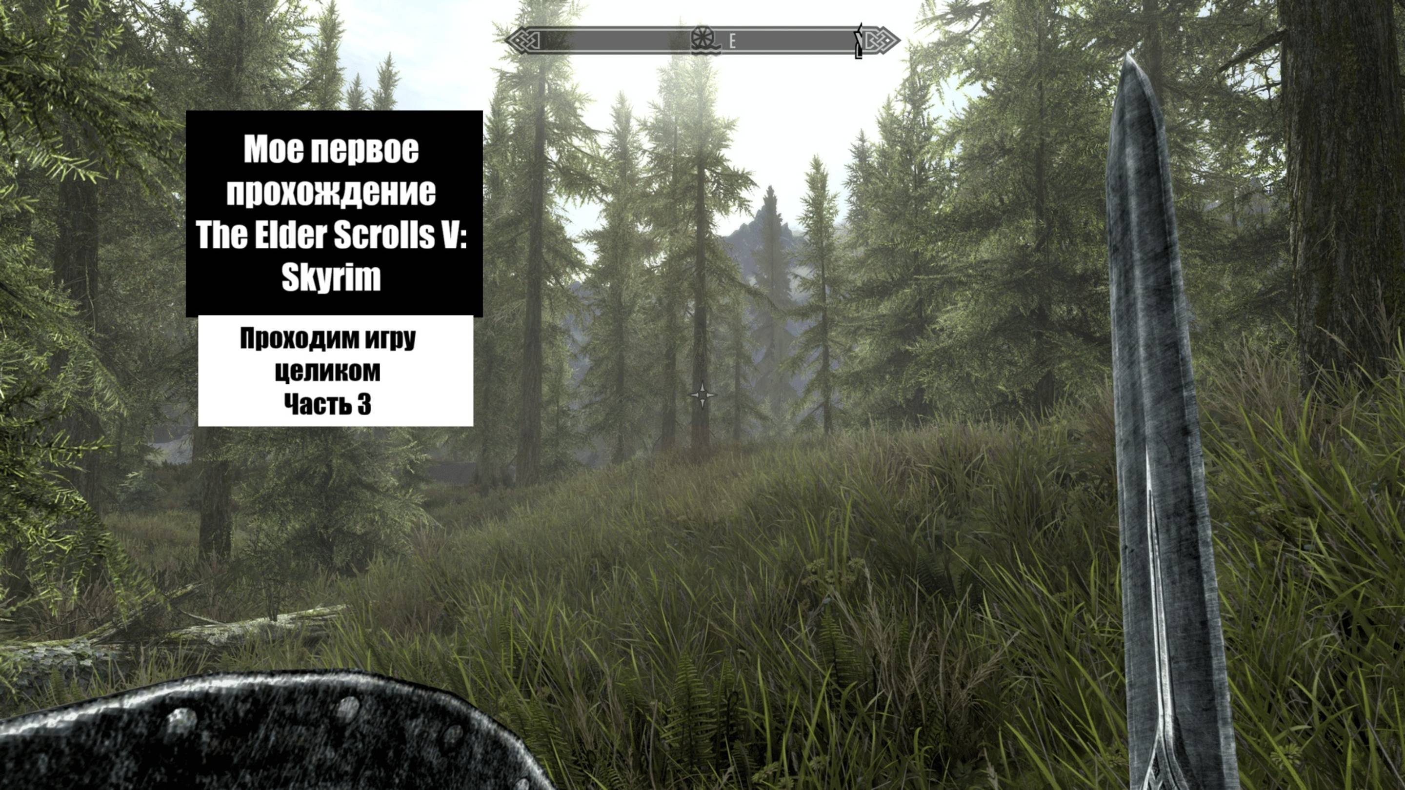 The Elder Scrolls V: Skyrim - Платная дорога и саблезубый тигр - Pt.3