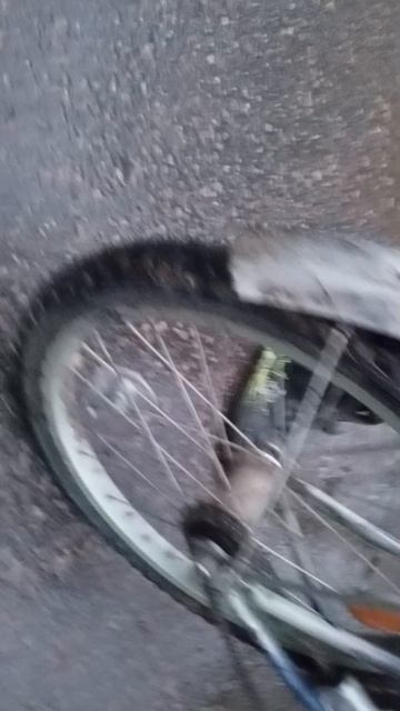 вело стант эдит