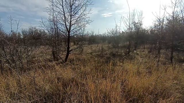 vaneda v-clutch pro 1191 второй выход