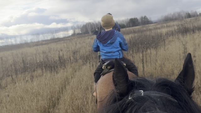 Дневник конных сборов — 1 ноября