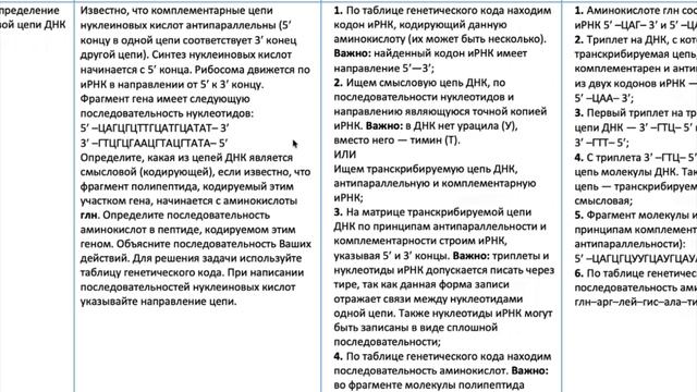 Практика ученик-учитель