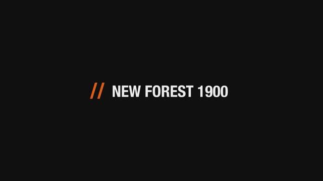 Электрический камин British Fires New Forest 1900 Deluxe Real logs от Уютнофф
