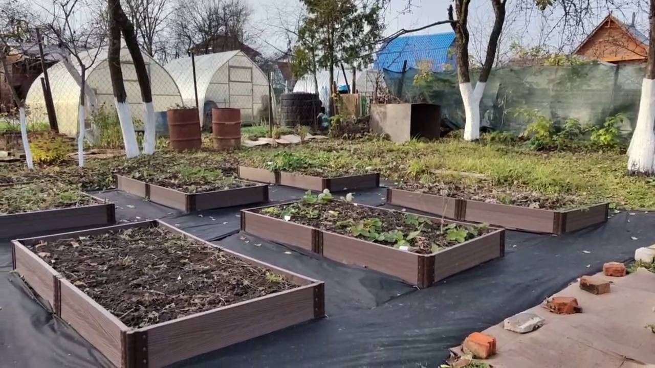 Дачный Влог 3 ноября Заканчиваем Дачный Сезон 2025