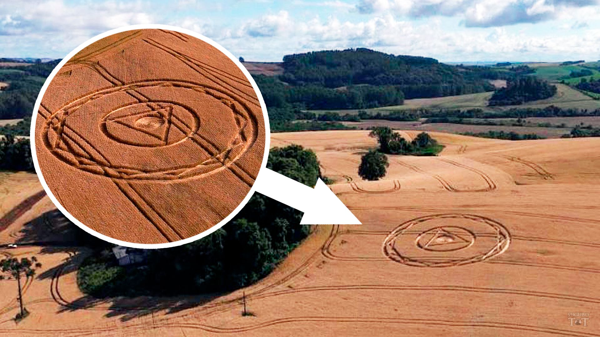 Круги на полях появились в Бразилии