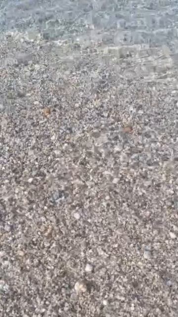 Привет из Сицилии (Италия) 03.11.2025