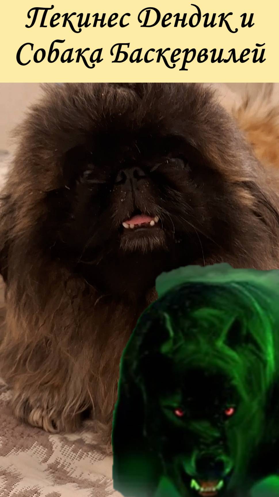 Пекинес Дендик и Собака Баскервилей